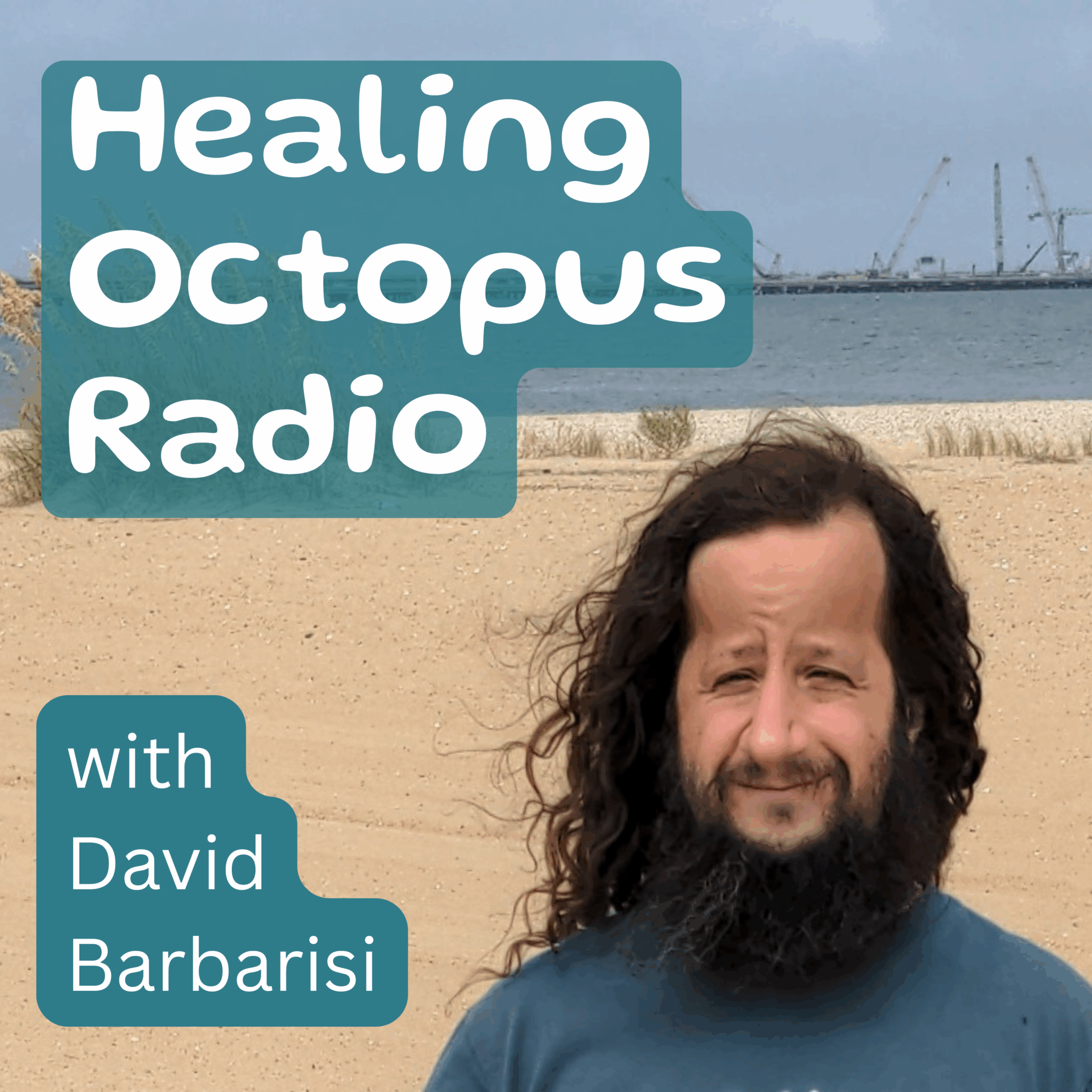 Healing Octopus Radio – Healing Octopus